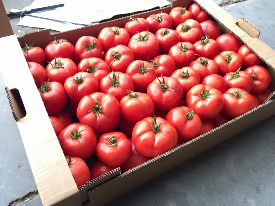 Premium Wholesale Tomatoes | Juicy & Aromatic | Marivla Vegetable ...