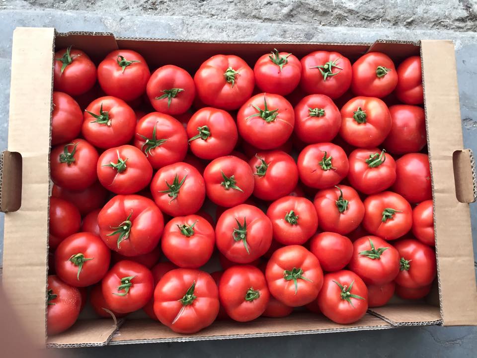 Premium Wholesale Tomatoes | Juicy & Aromatic | Marivla Vegetable ...